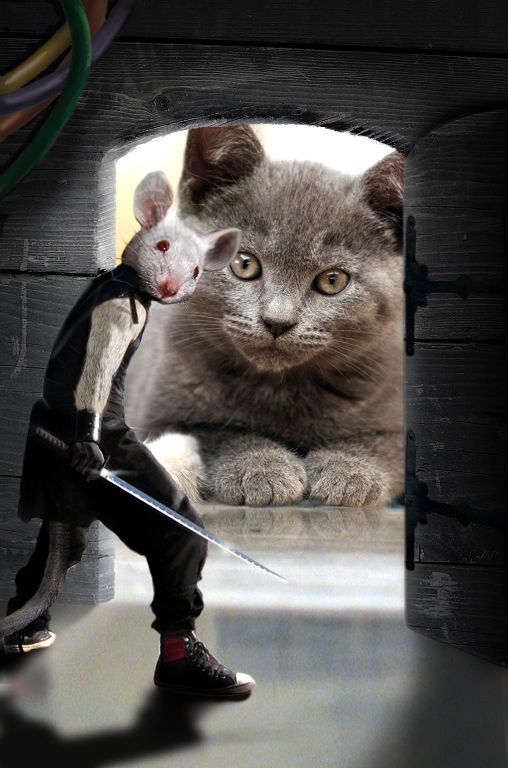 Photoshop Editing – Jesse Lively // Portfolio